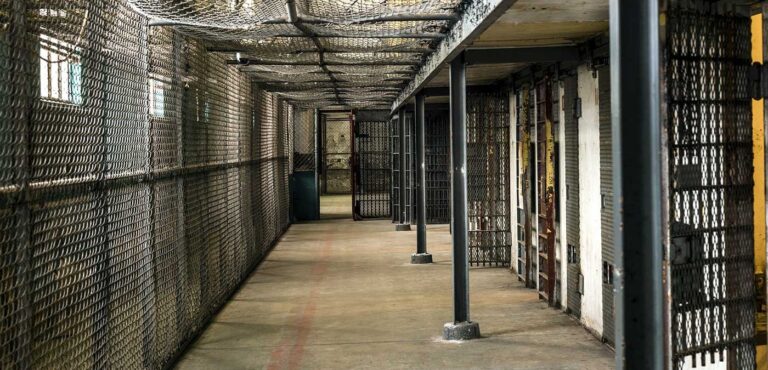 home-banner | Michigan Collaborative to End Mass Incarceration